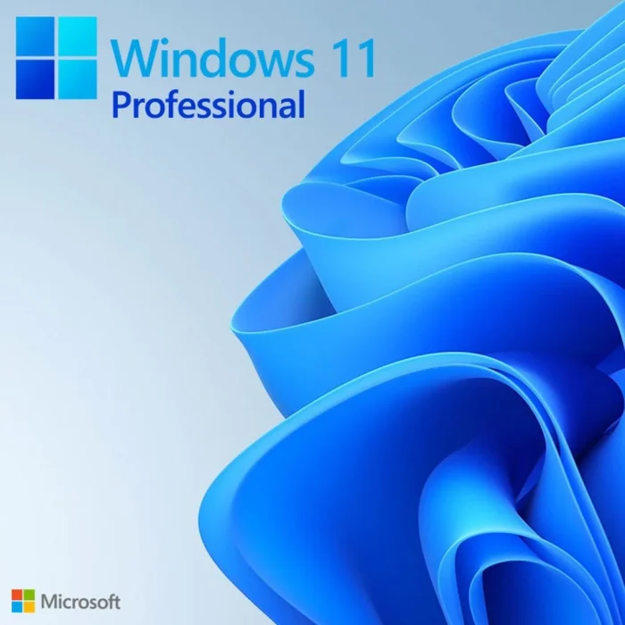 Windows 11 專業版 金鑰序號｜正版永久授權 秒發｜古德資訊